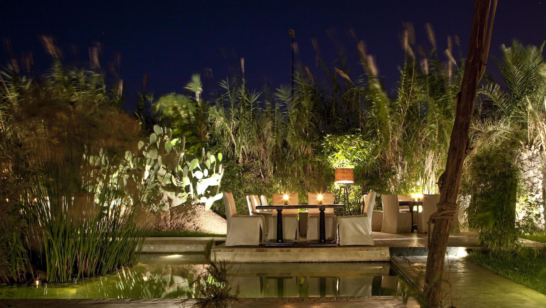 The must-see dinner shows in Marrakech